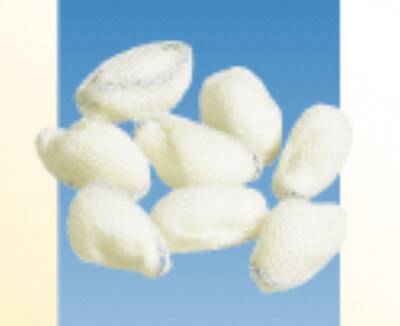Surgical Peanut Sponge American® White Cross X-Ray Detectable Gauze 3 ...