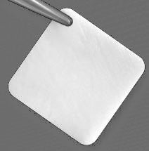 Dermal Repair Scaffold PriMatrix® Collagen 3 X 3 Inch | Gilgal Medical ...