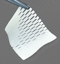 Dermal Repair Scaffold PriMatrix® Collagen 2-3/10 X 2-3/10 Inch ...