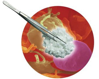 Hemostatic Sponge Helistat® 1/2 X 1 Inch 18 per Pack Sterile | Gilgal ...